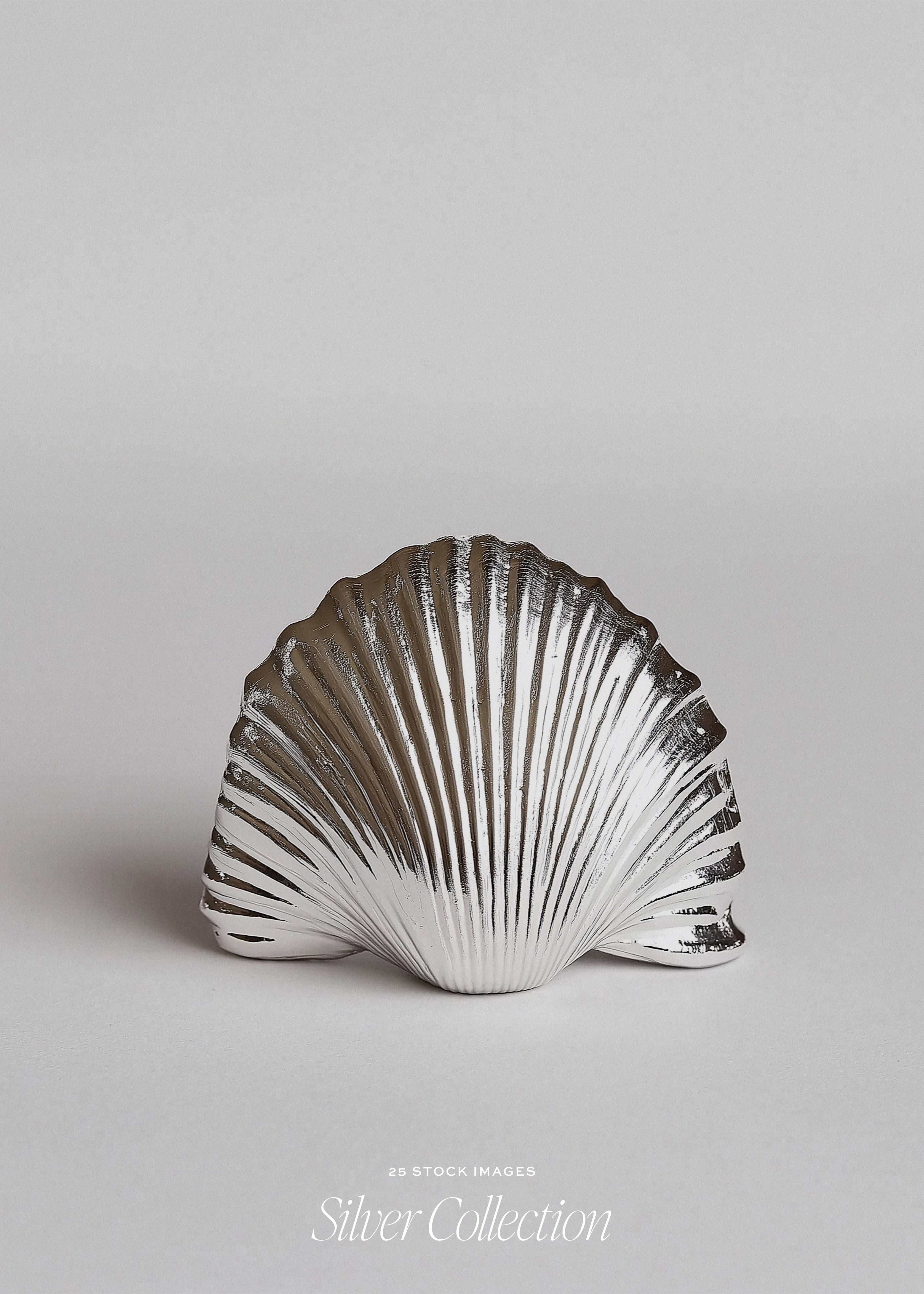 Silver Colour Collection of Aesthetic Stock Images · Studio Blanche