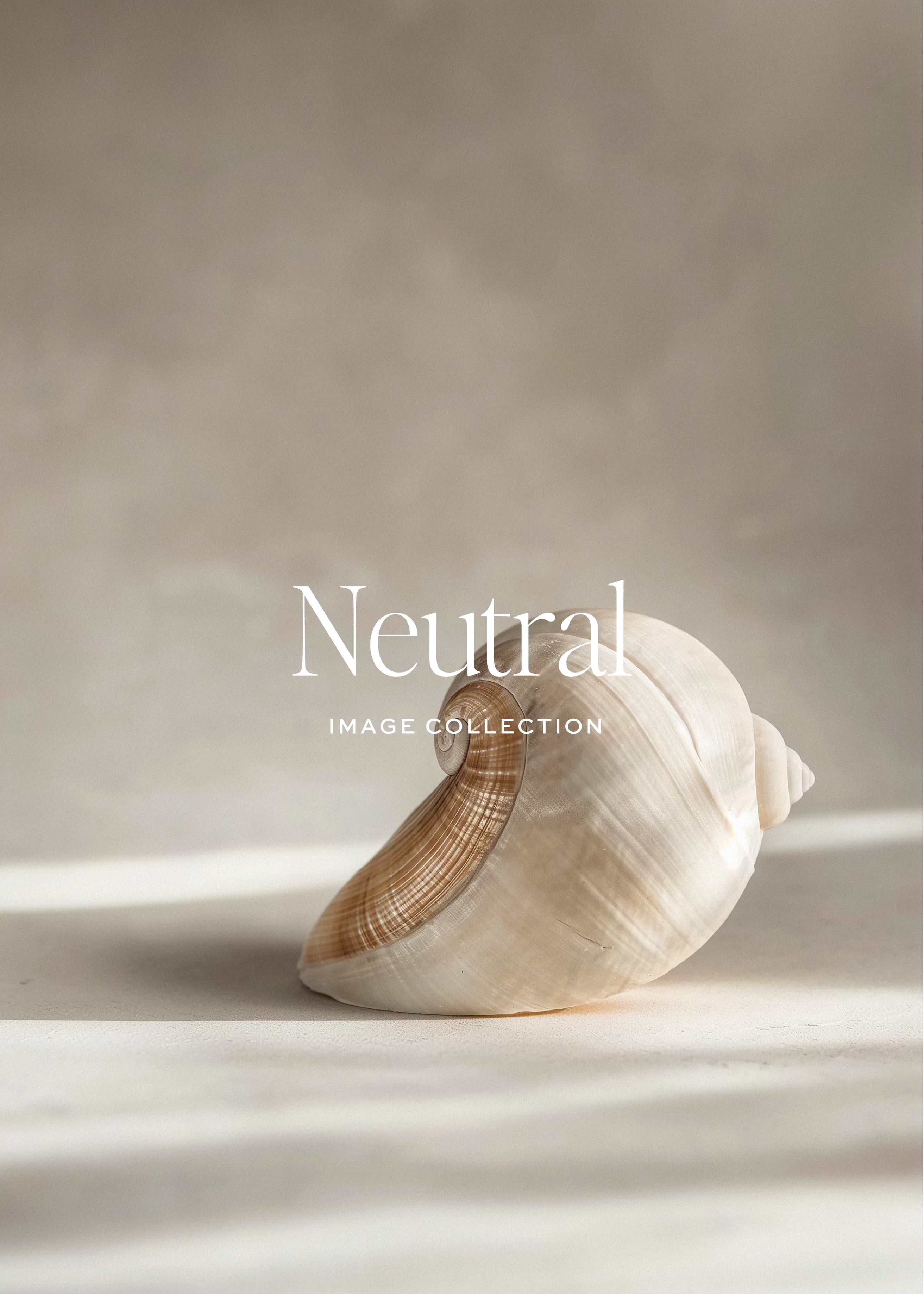 Neutral Collection of Pinterest Worthy Stock Images · Studio Blanche